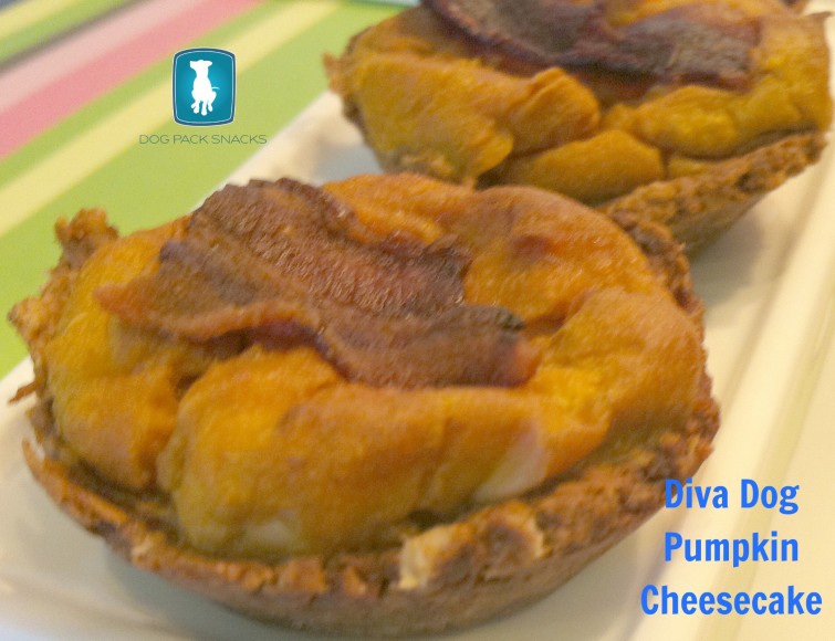 Diva Dog Pumpkin Cheesecake! {Courtesy of Dog Pack Snacks} | Woof Woof Mama