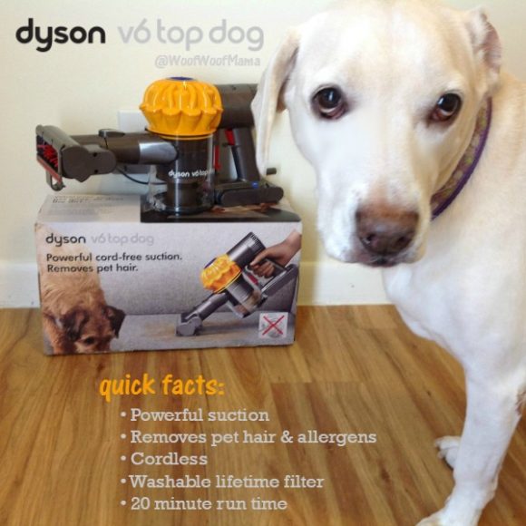 We Review the NEW Dyson V6 Top Dog Cordless Vacuum for Pet Homes | Woof ...