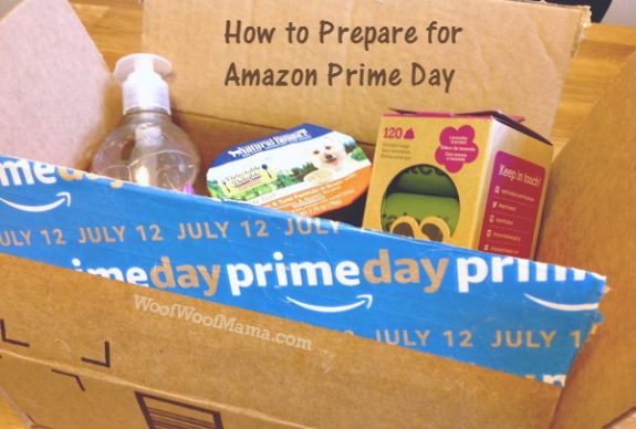 How To Prepare Now For Amazon Prime Day + $30 Prime Day Promo Code ...