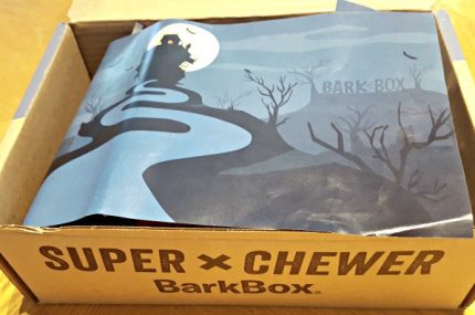 Super Chewer BarkBox for Toy Destroyers | Woof Woof Mama