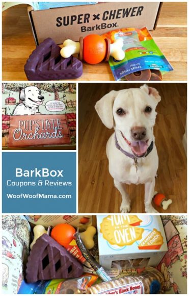 BarkBox Super Chewer Review November 2017 | Woof Woof Mama
