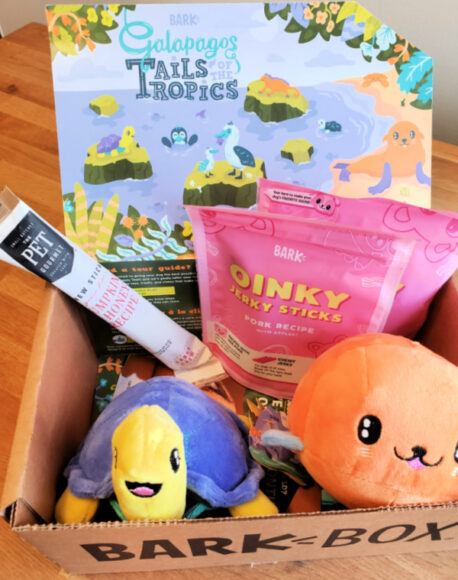 daisy | Woof Woof Mama